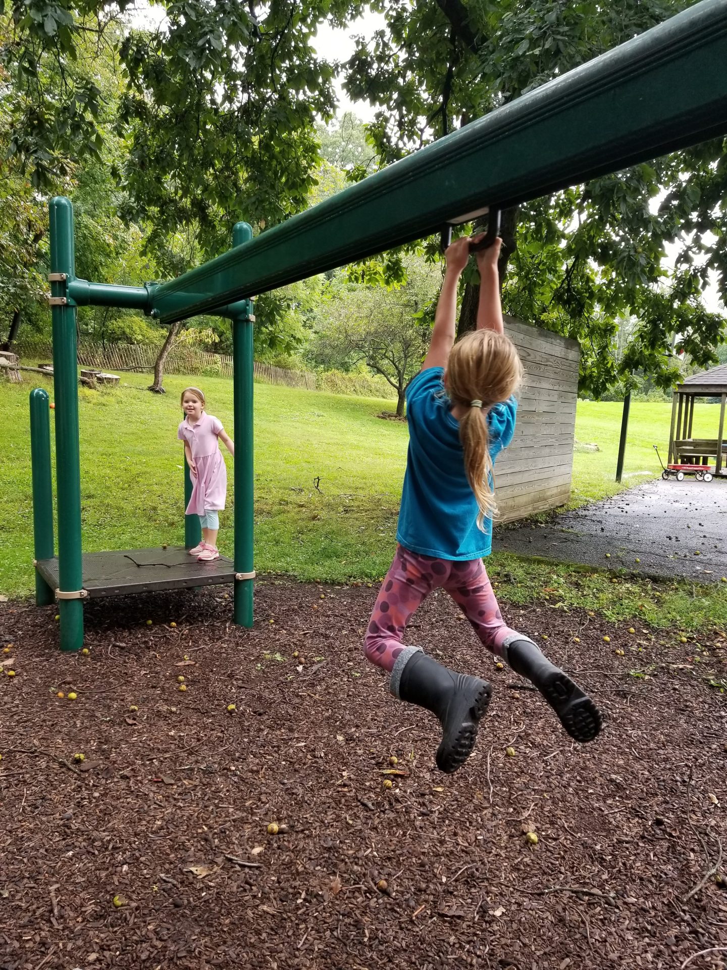 Grade 1-2 First Week Recap! | Poughkeepsie Day School