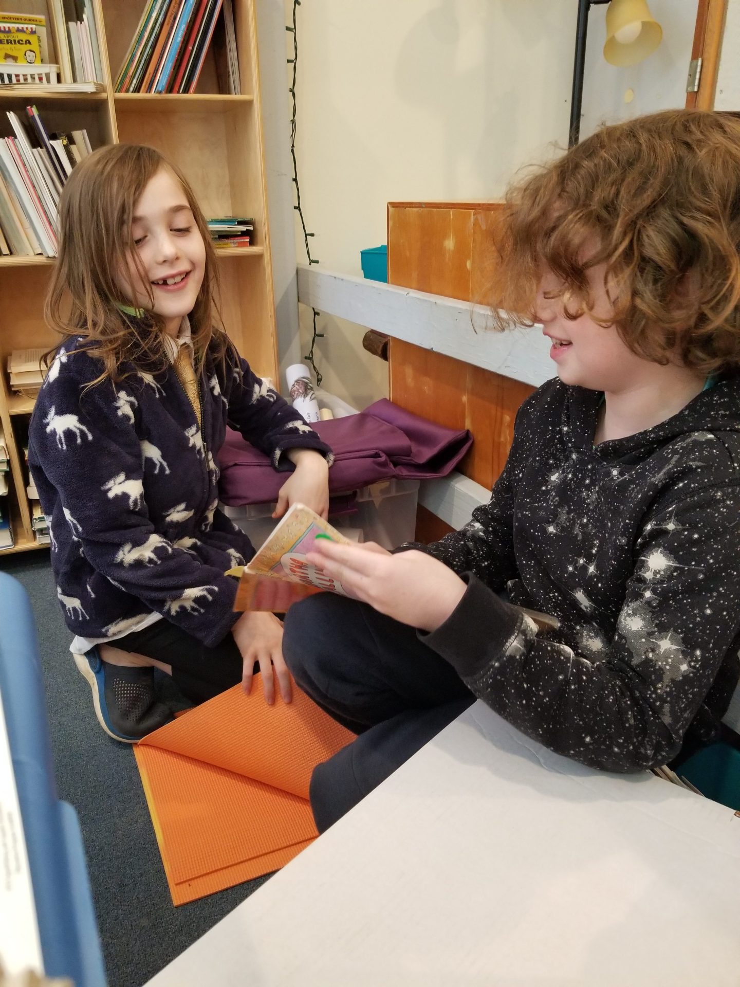 Amanda's 1-2 and Lara's 3-4 Join Forces for Buddy Reading ...