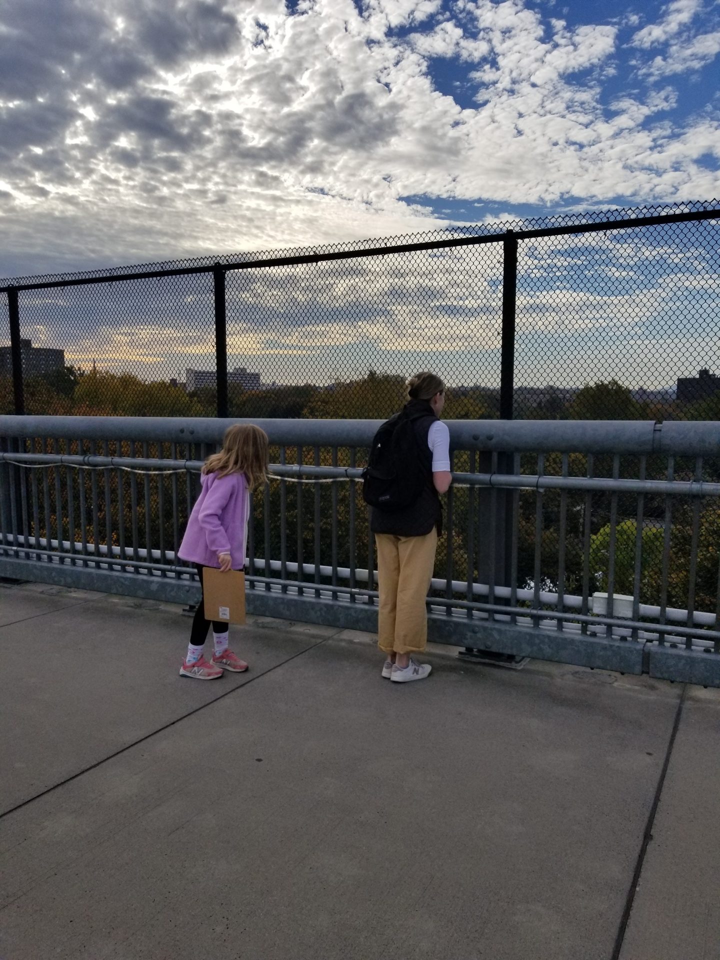 1-2 Hudson River Study: Field Trip to the Walkway Over the Hudson ...