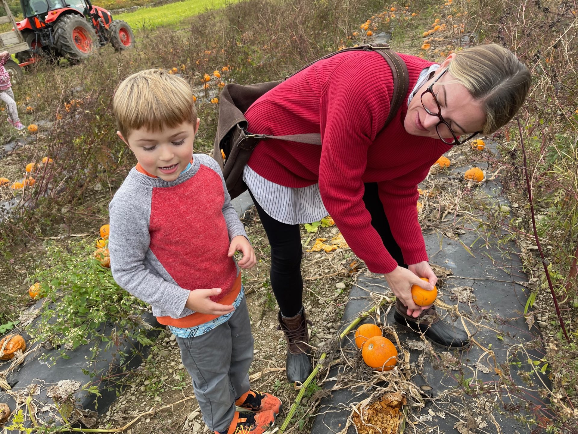 PreK/K Apple Investigations, Wilklow Orchards Trip and More ...