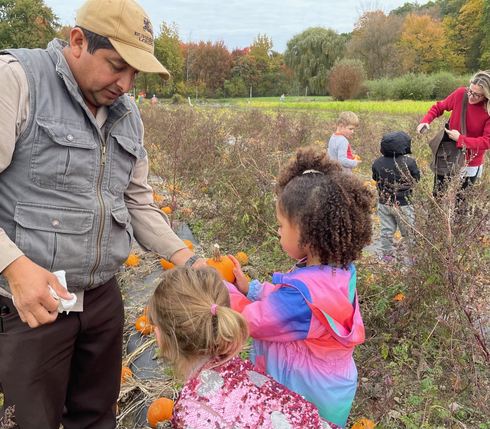 PreK/K Apple Investigations, Wilklow Orchards Trip and More ...