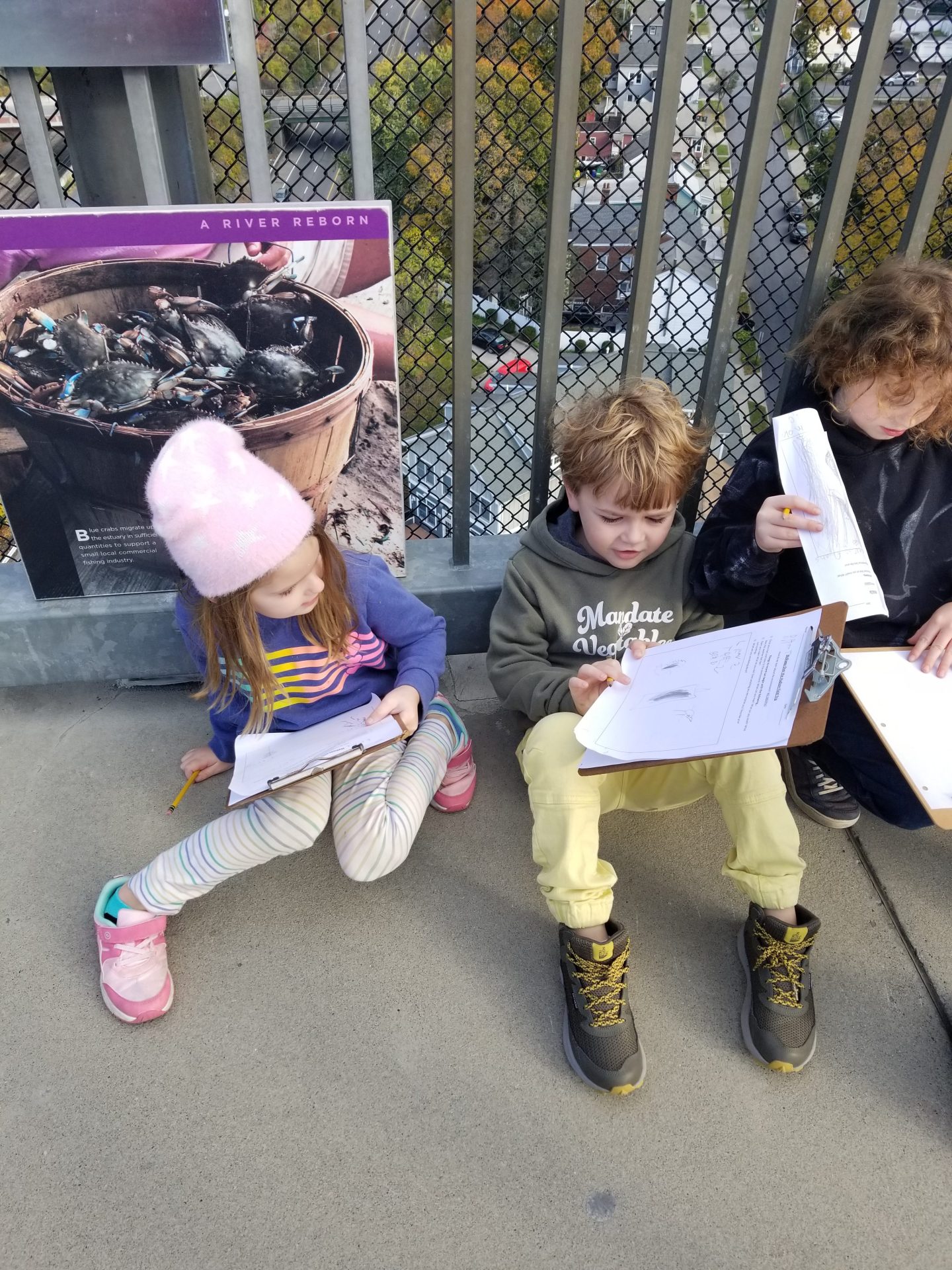 1-2 Hudson River Study: Field Trip to the Walkway Over the Hudson ...