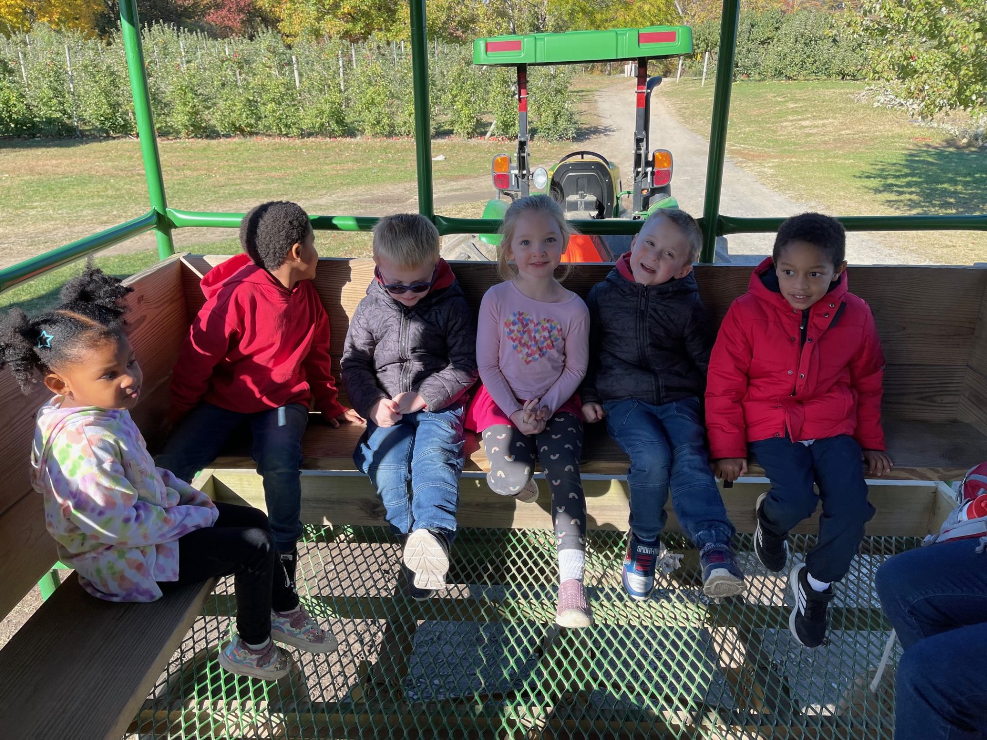 Apples and Worms! | Poughkeepsie Day School