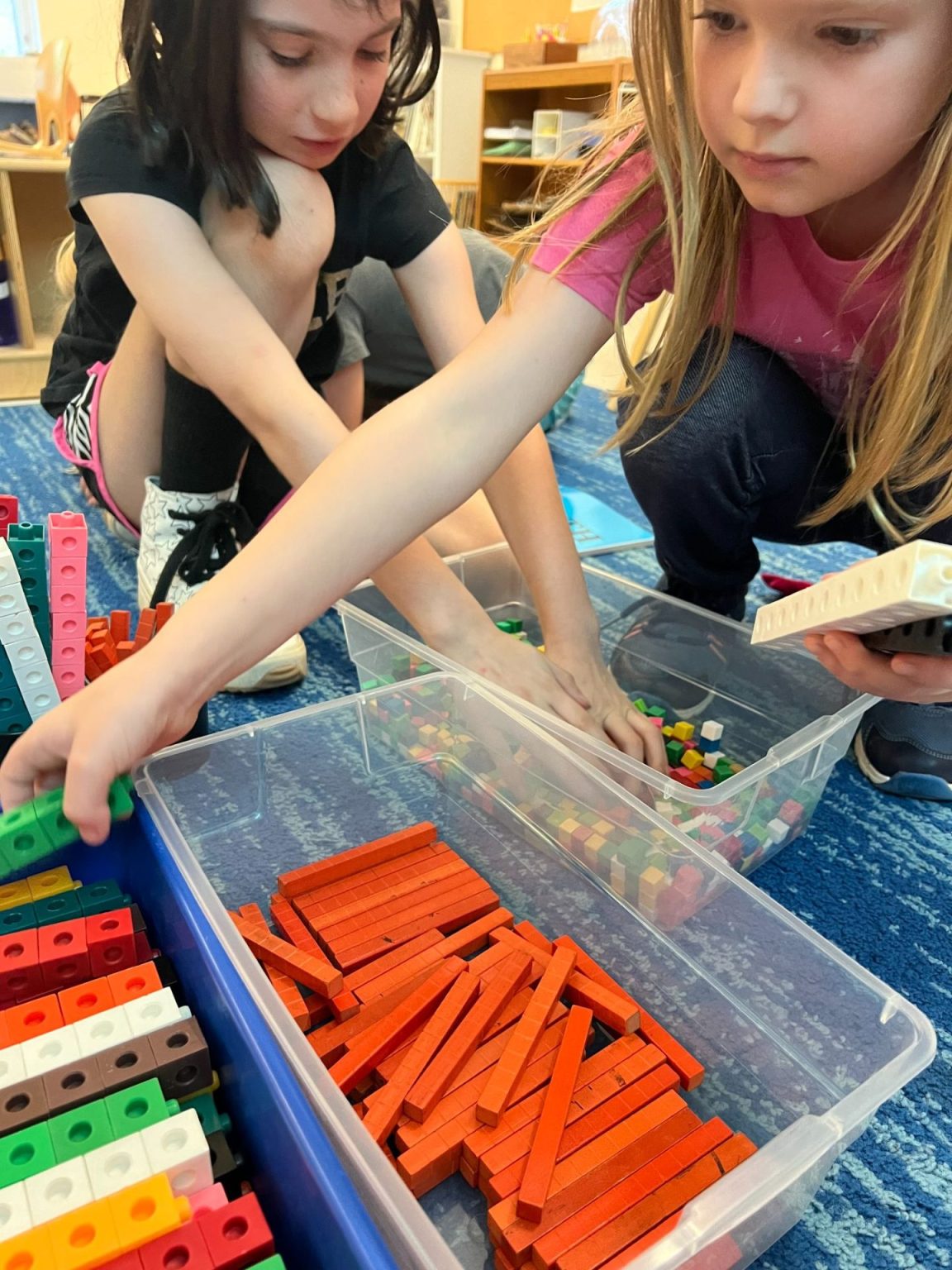 How Truffles Helped Grades 3 & 4 Learn Multiplication | Poughkeepsie ...